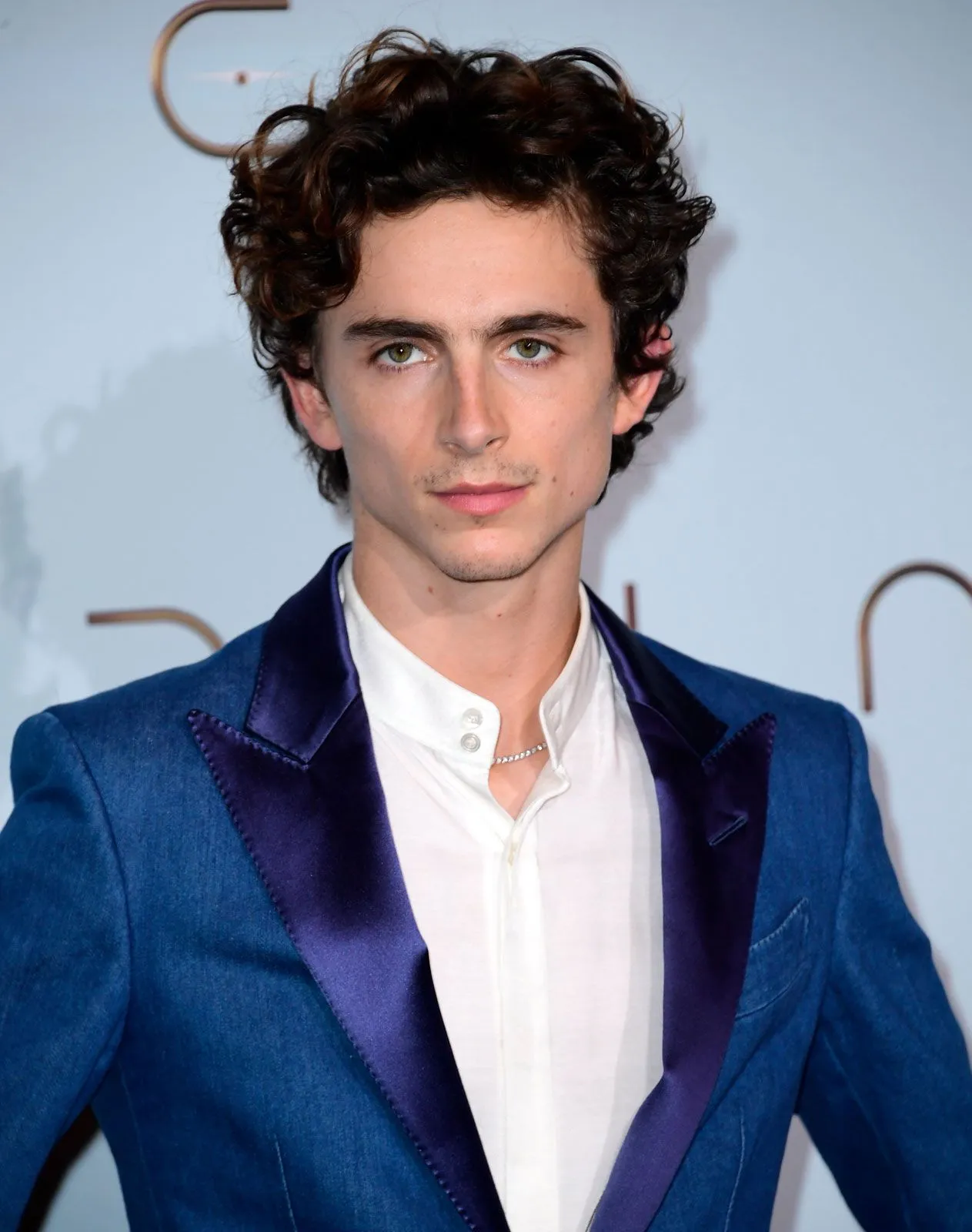 Timothée Chalamet Biography: Life, Movie, Height and Age - Recruit Base
